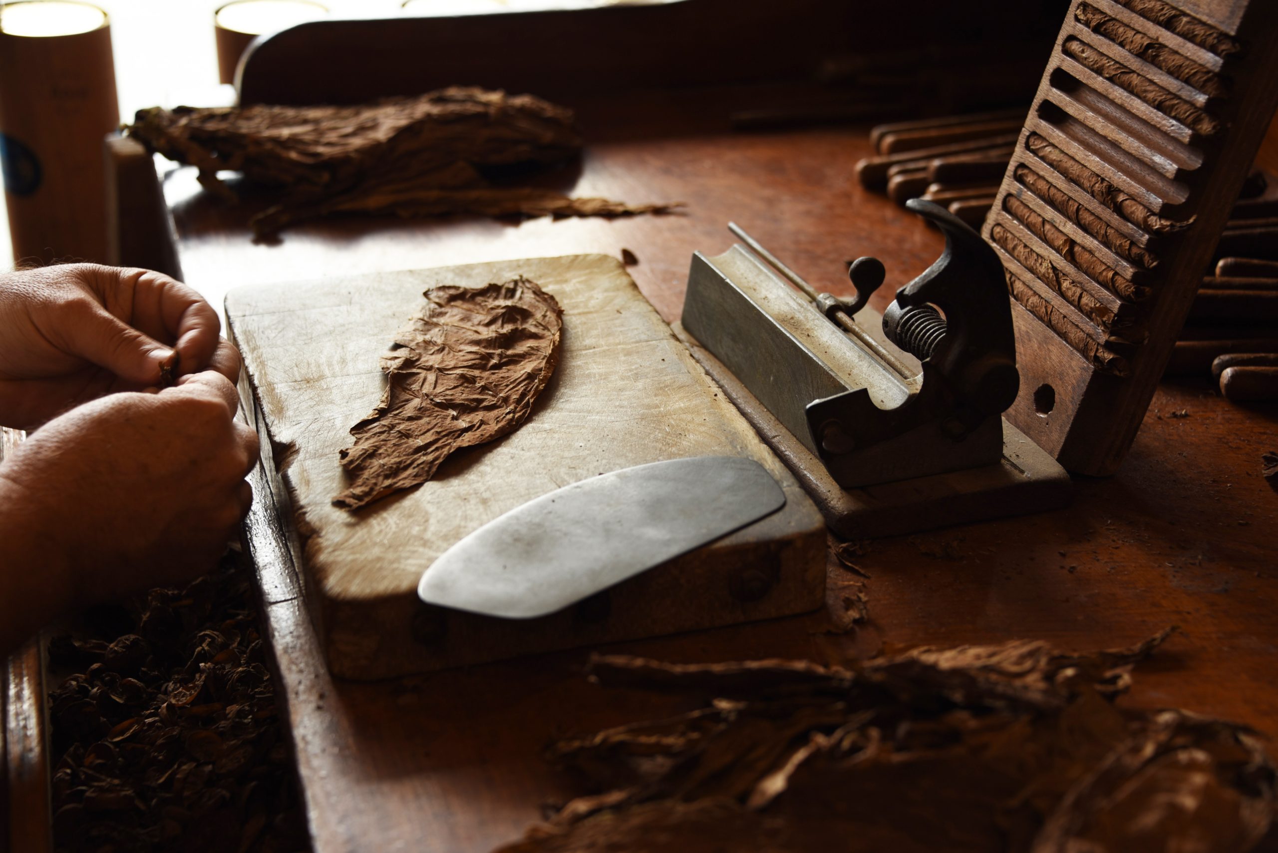Jak powstają cygara? - Cigar Sommelier